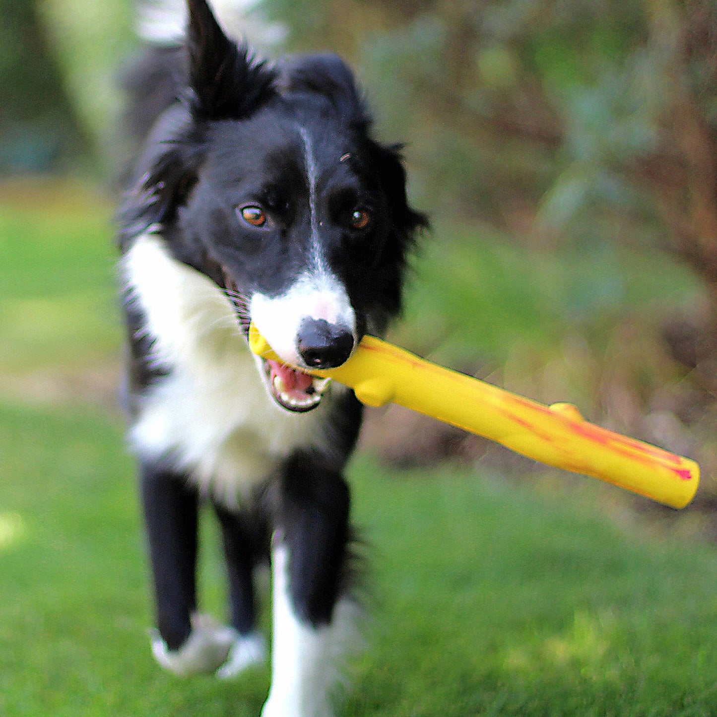 RuffDawg - STICK – Performance Dog Supply